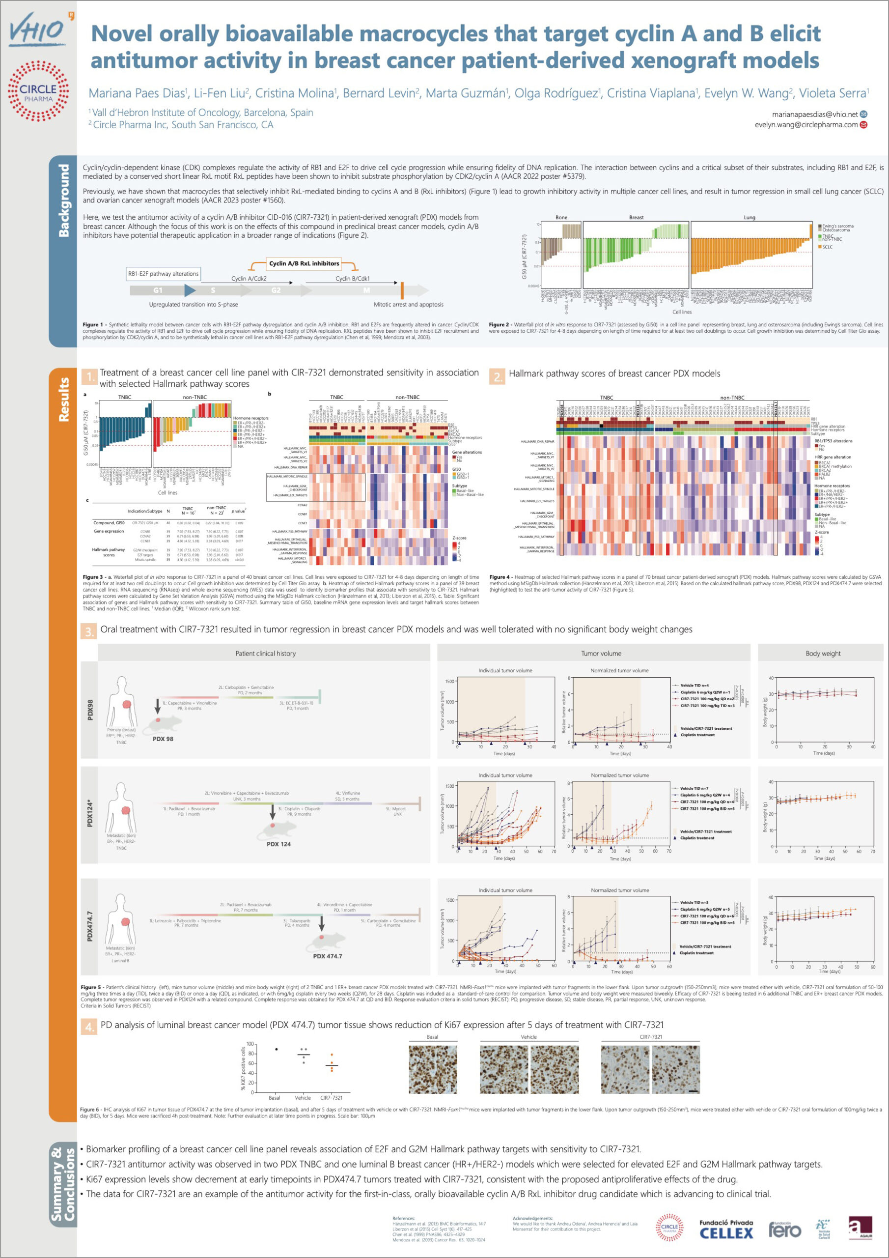 Novel orally bioavailable macrocycles that target cyclin A and B elicit ...