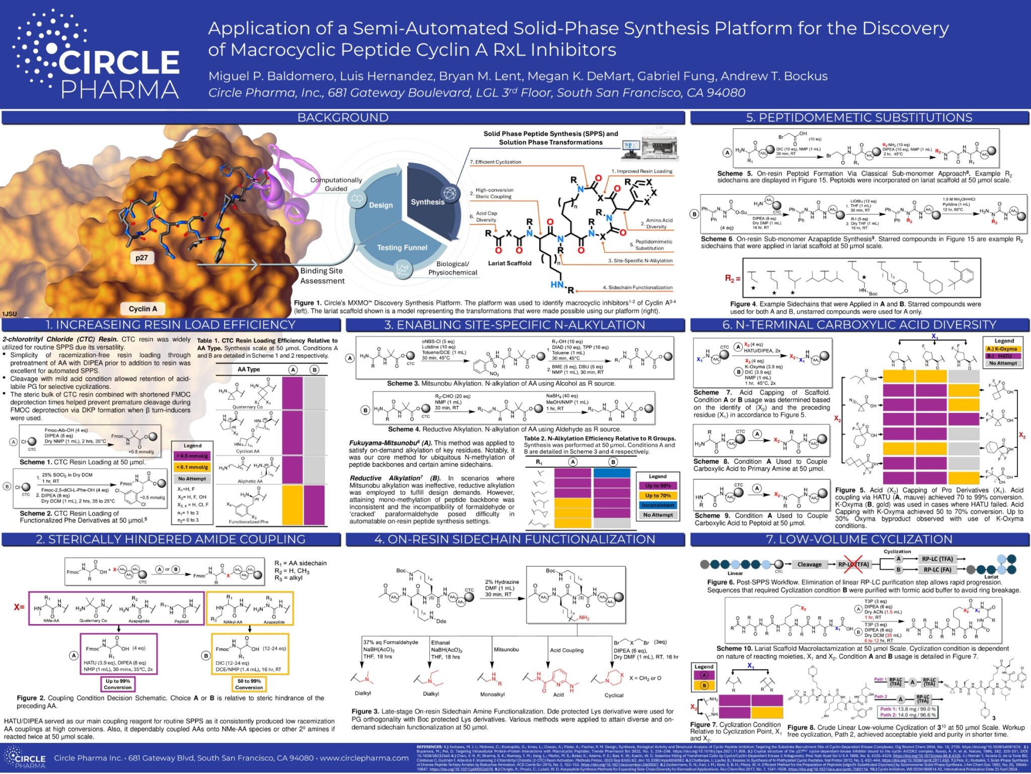 Application of a Semi-Automated Solid-Phase Synthesis Platform for the ...